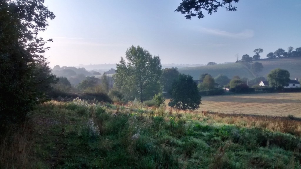 Lay of the Land: Huxham's Farm Walk and Land Survey - Biodynamic Land Trust