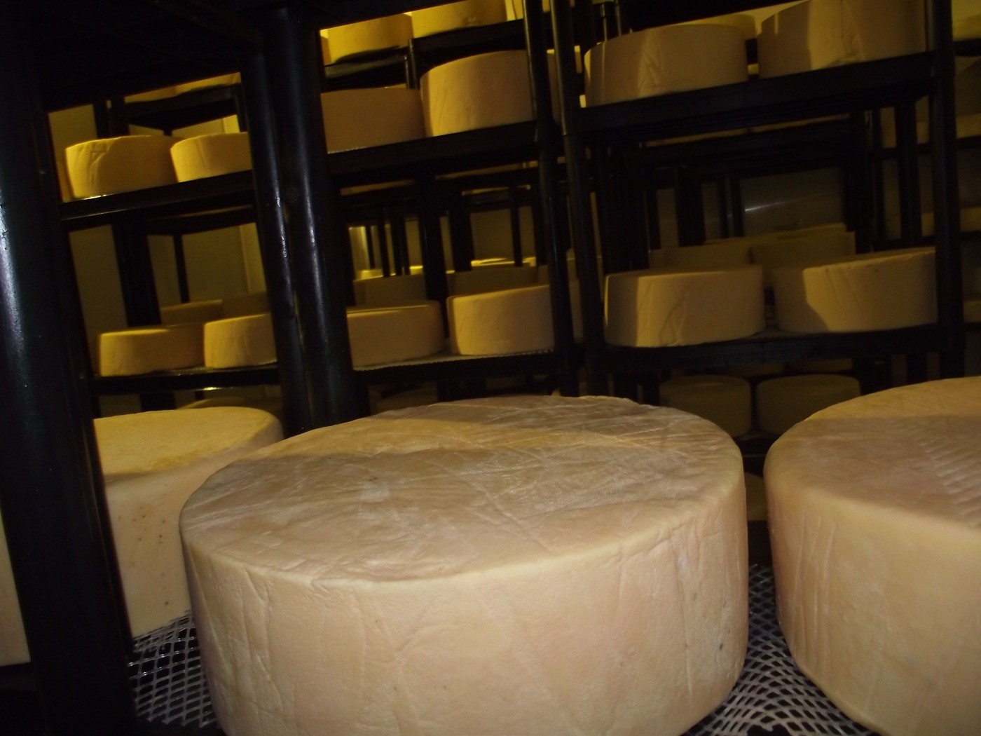 cheeses1 - Biodynamic Land Trust