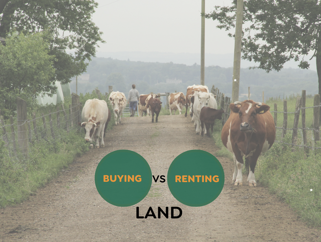 Buying versus Renting Land: pros & cons - Biodynamic Land Trust