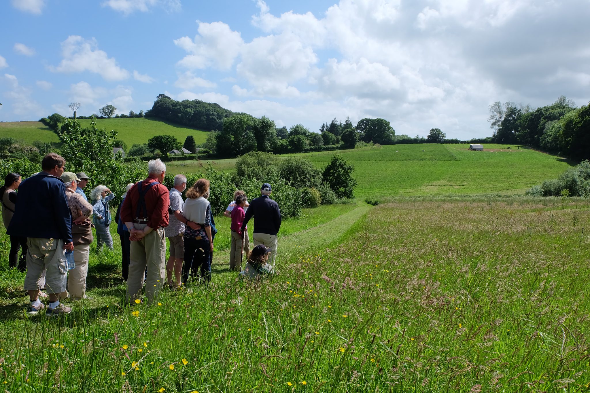 Making the case for a UK transition to Regenerative Agriculture ...