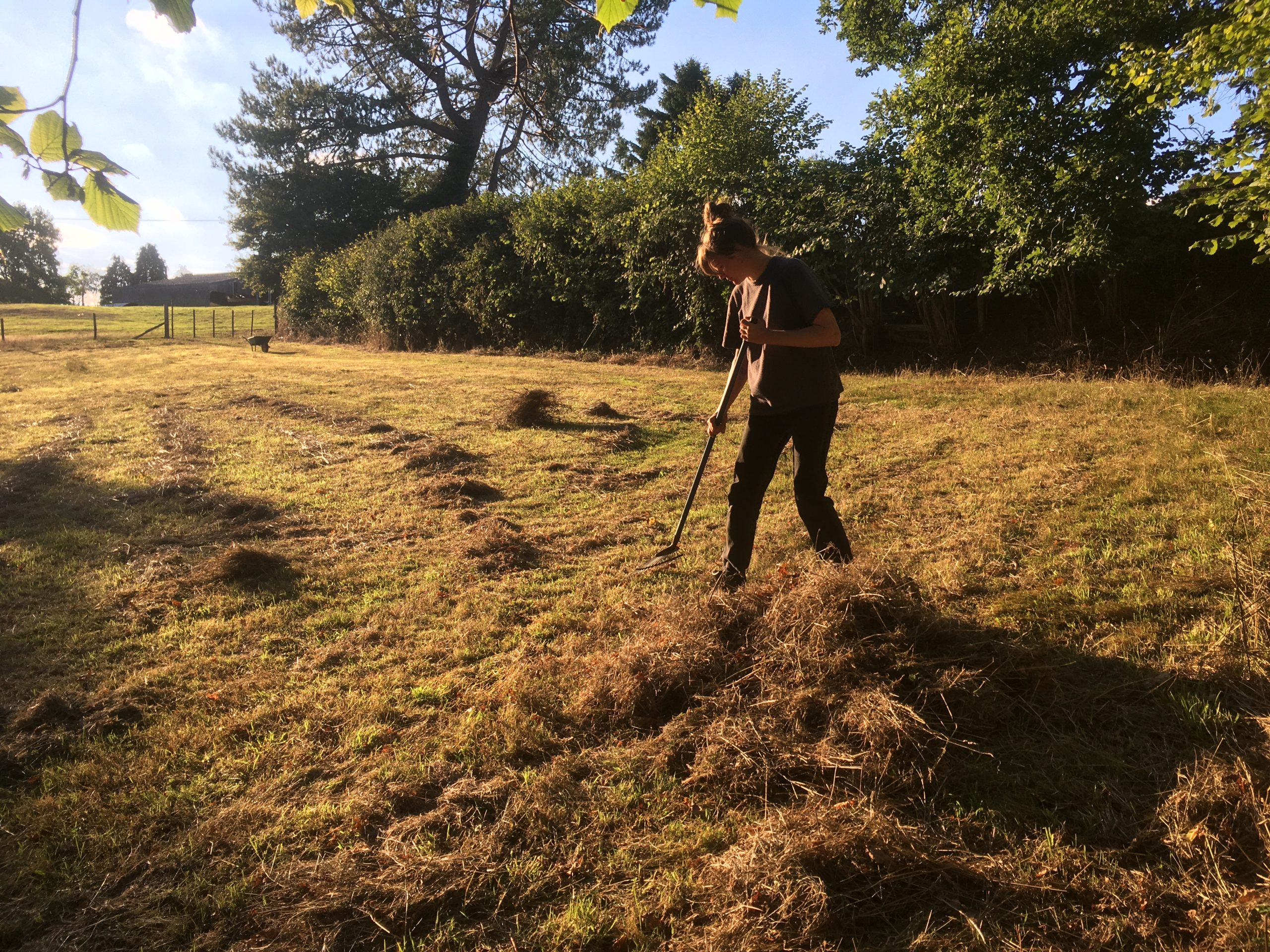 Pignut Field - Raking off the Topped Vegetation - Biodynamic Land Trust